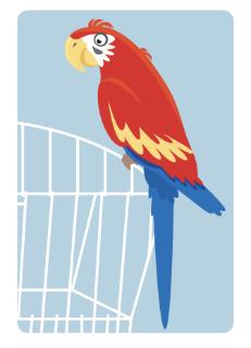 1.12强基课 - 剥豆豆